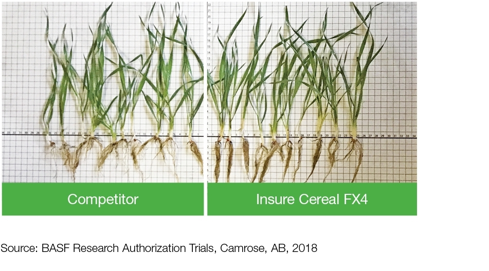 BASF | Product Profile - Insure Cereal FX4 + Relenya